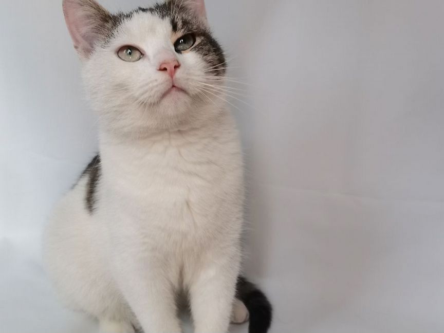 Очень нужен дом