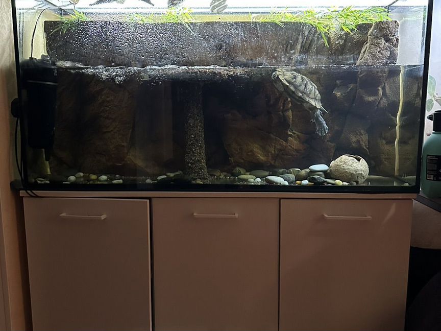 Акватеррариум 200 литров