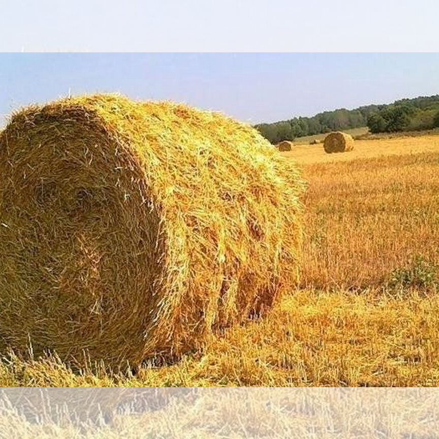 Солома в рулонах