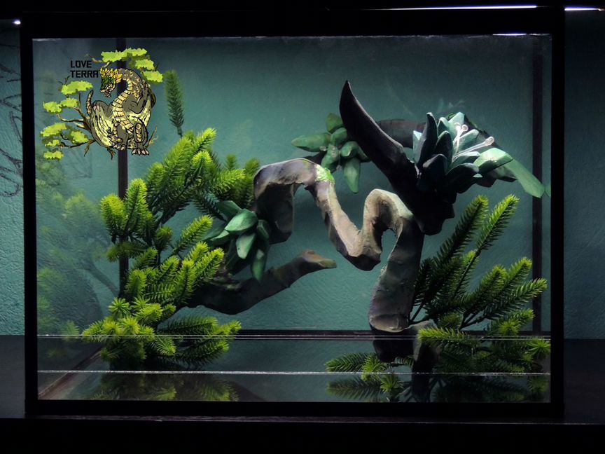 Террариумы: сборка и оформление на заказ