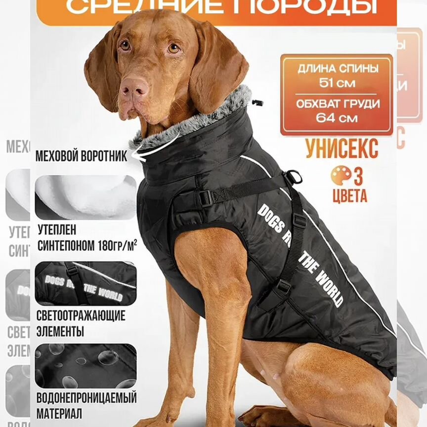 Жилет для собак