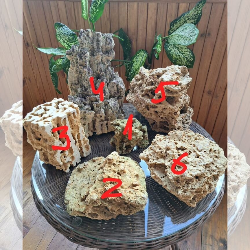 Песчанник для аквариума