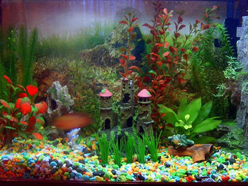 Грунт для аквариума