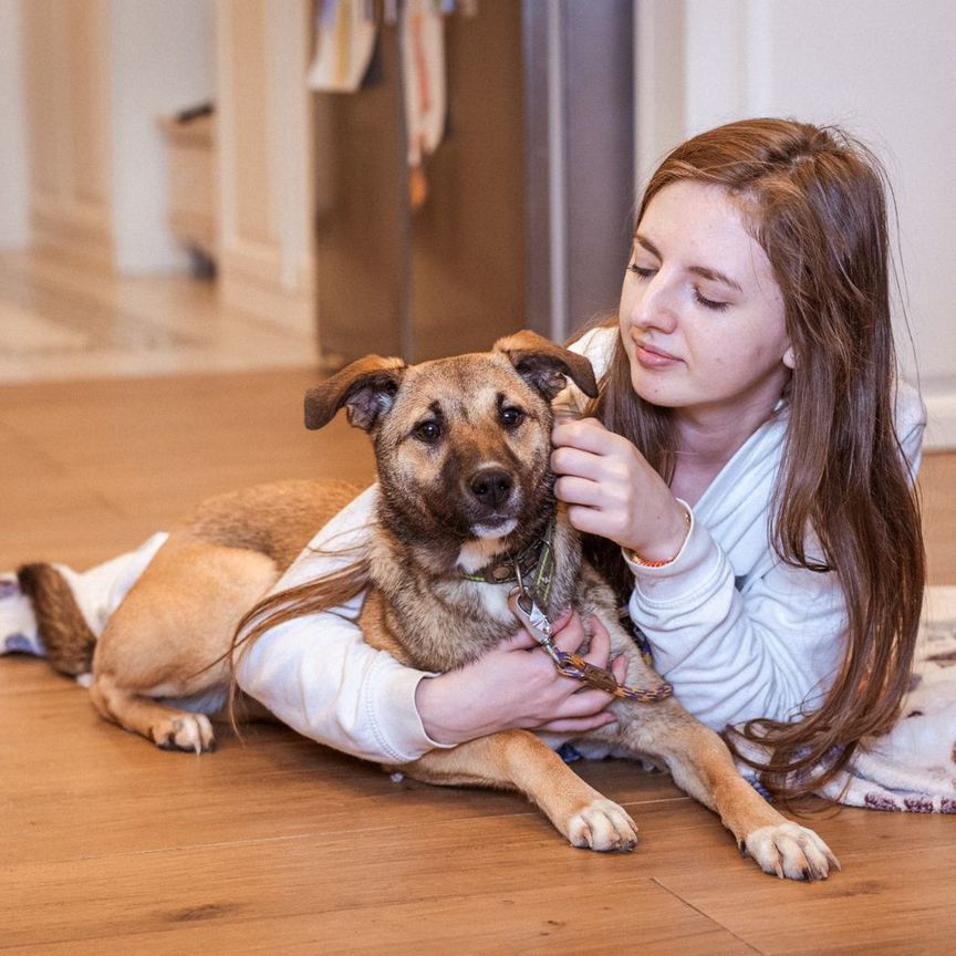 Собака в добрые руки