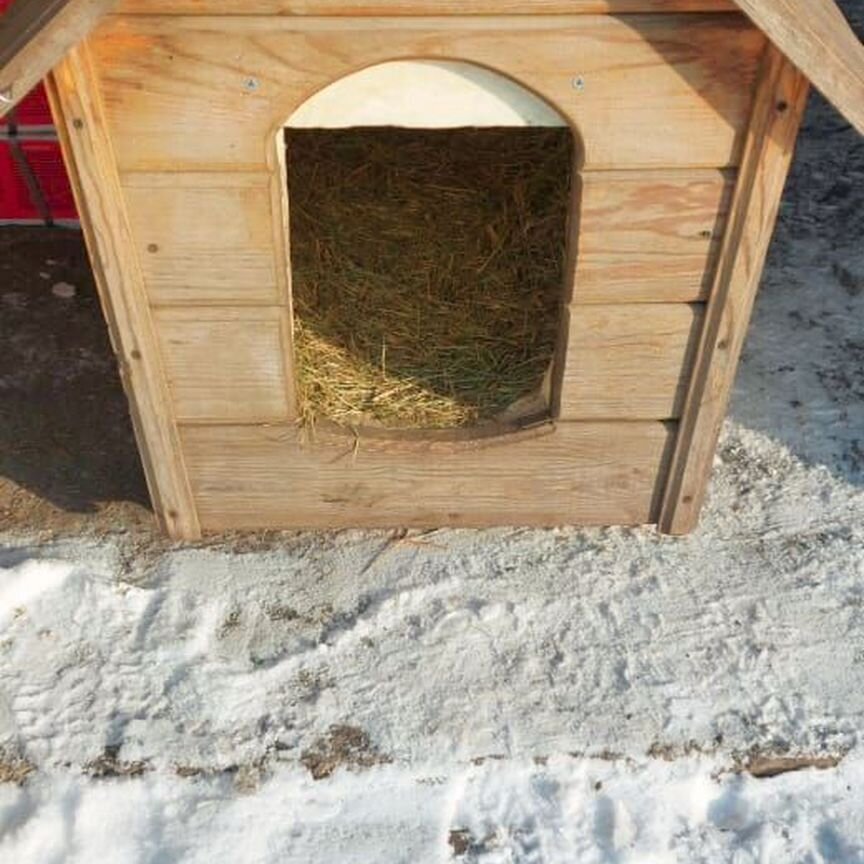 Будка для собаки утепленная