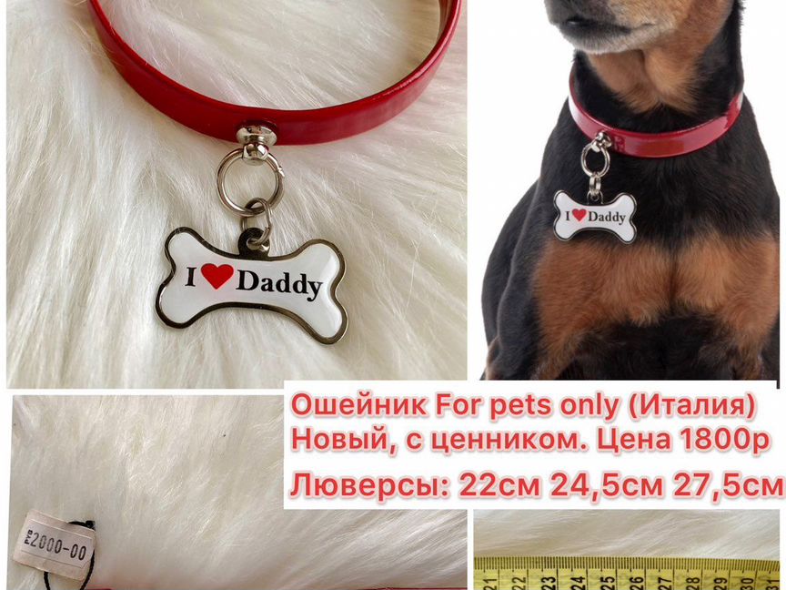 Ошейник For pets only, Италия