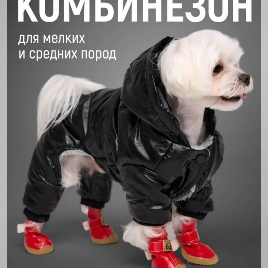 Одежда для маленьких собак