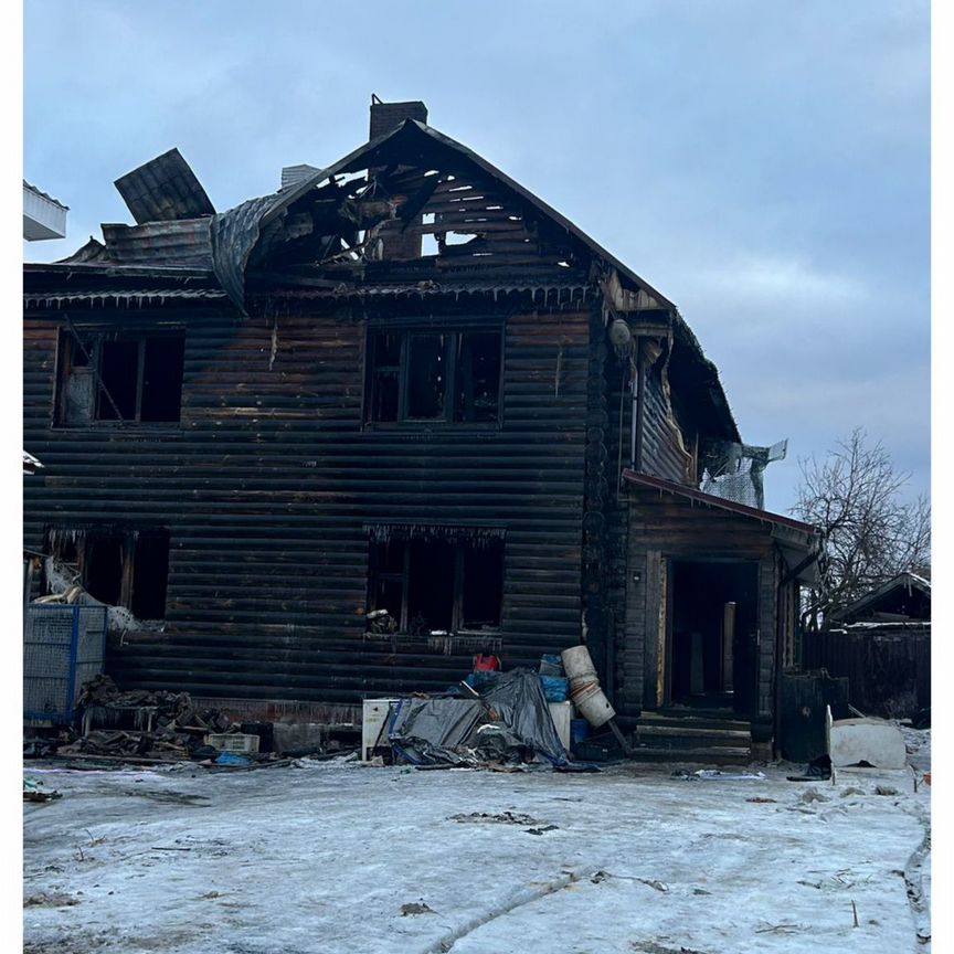 Собаки лишились временного дома