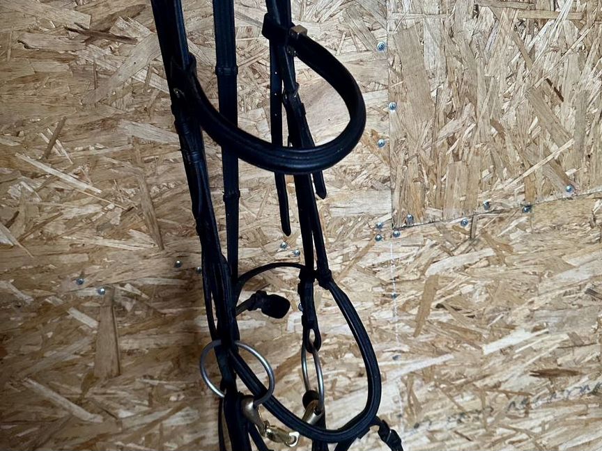 Уздечка Equipe