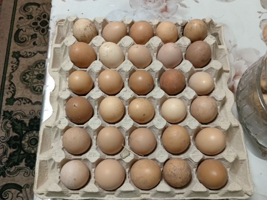 Продам яйцо куриное домашнее