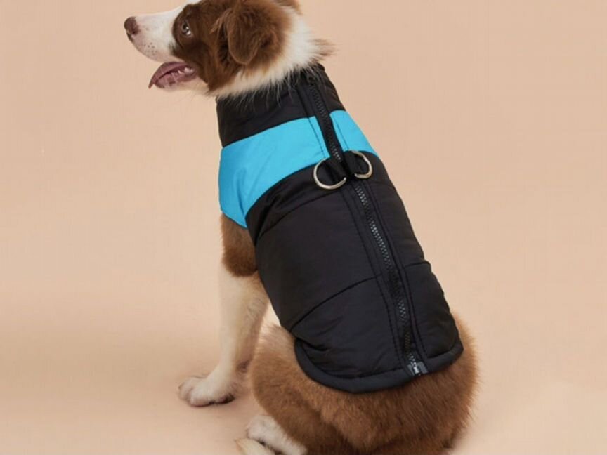 Свитер для собаки