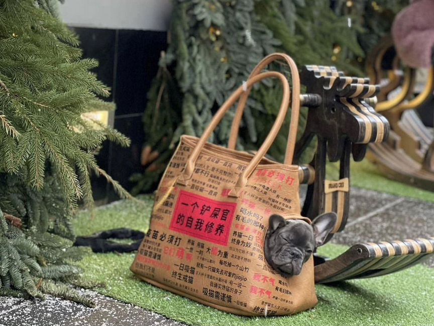 Сумка переноска до 8 кг