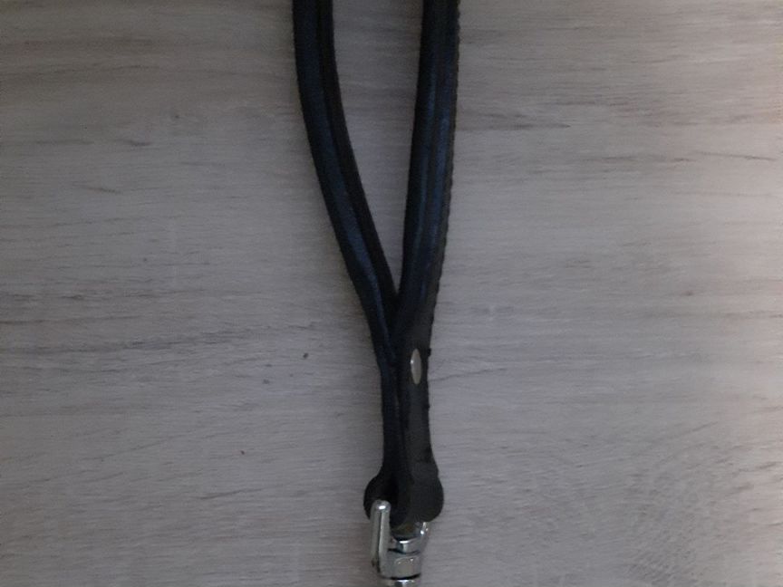 Поводок-водилка для крупной собаки