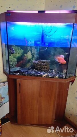 Аквариум 200л с тумбой и всем необходимым