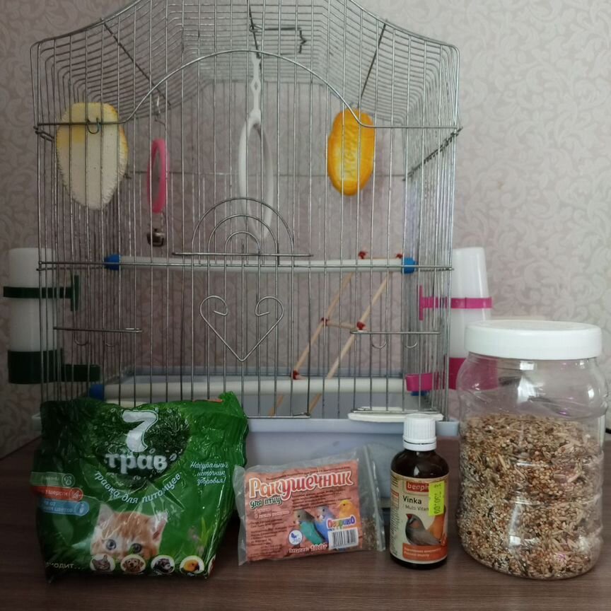 Клетка для птиц с принадлежностям