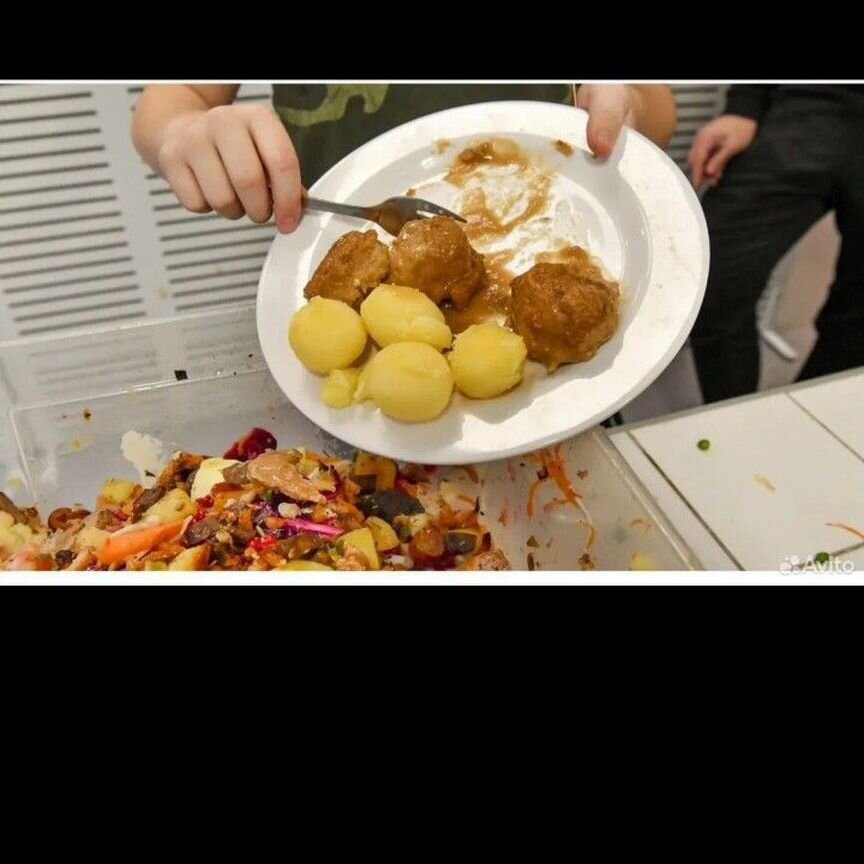 Пищевые отходы от столовой