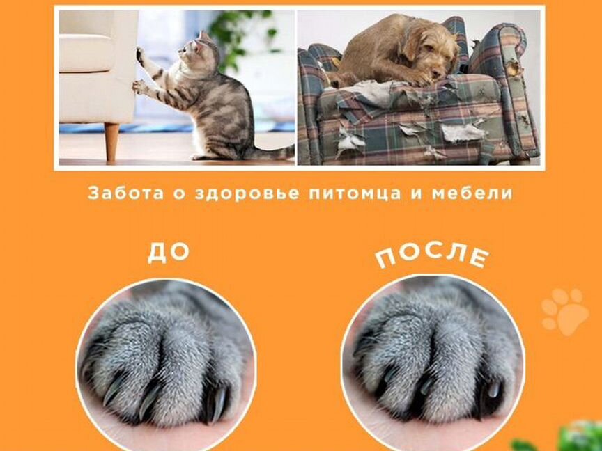 Гриндер (когтеточка), когтерез
