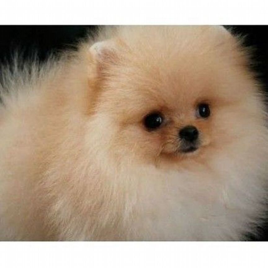 Микро помочка