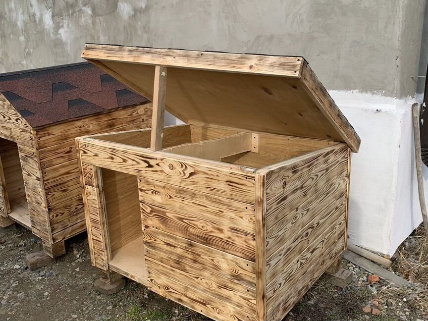 Собачья будка