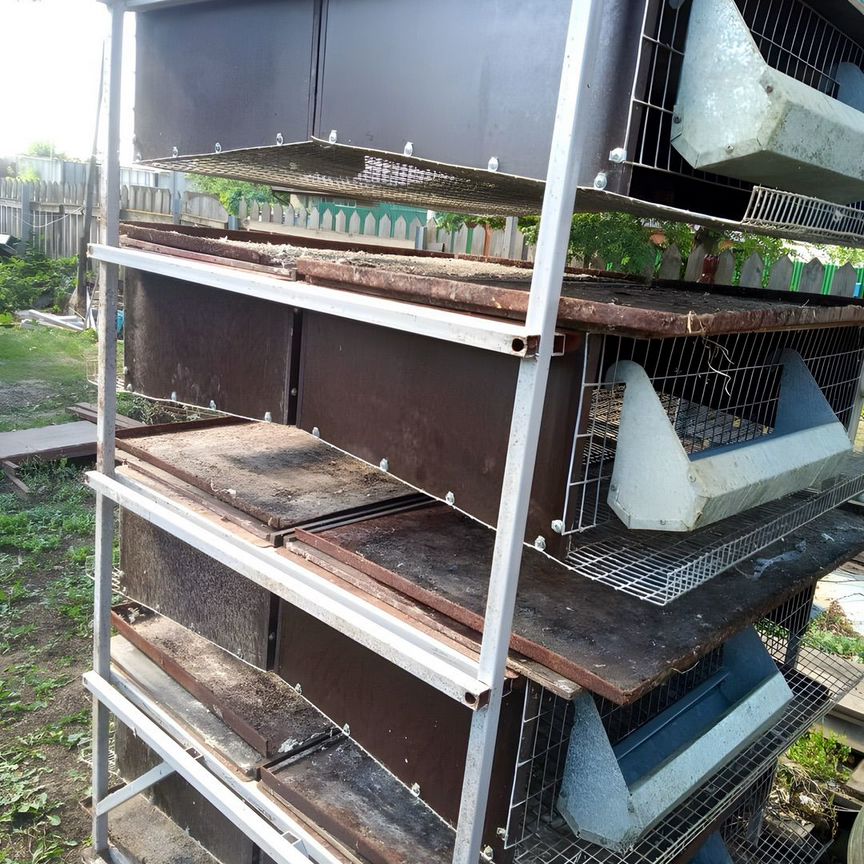 Клетки для перепелов б/у