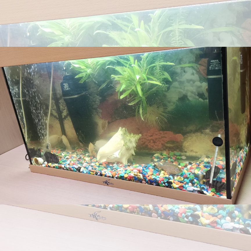 Аквариум BioDesign 80л. с подсветкой