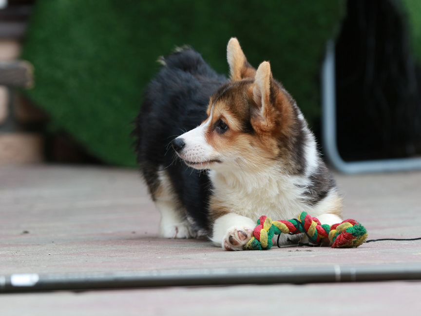 Нереальная красотка