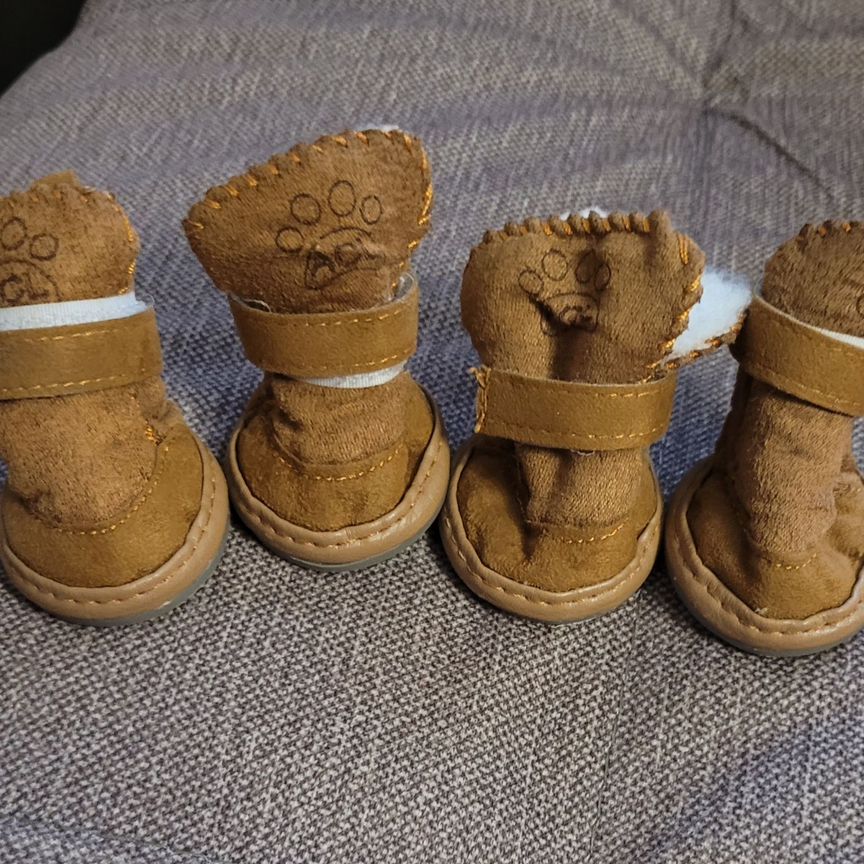 Ботинки для собак