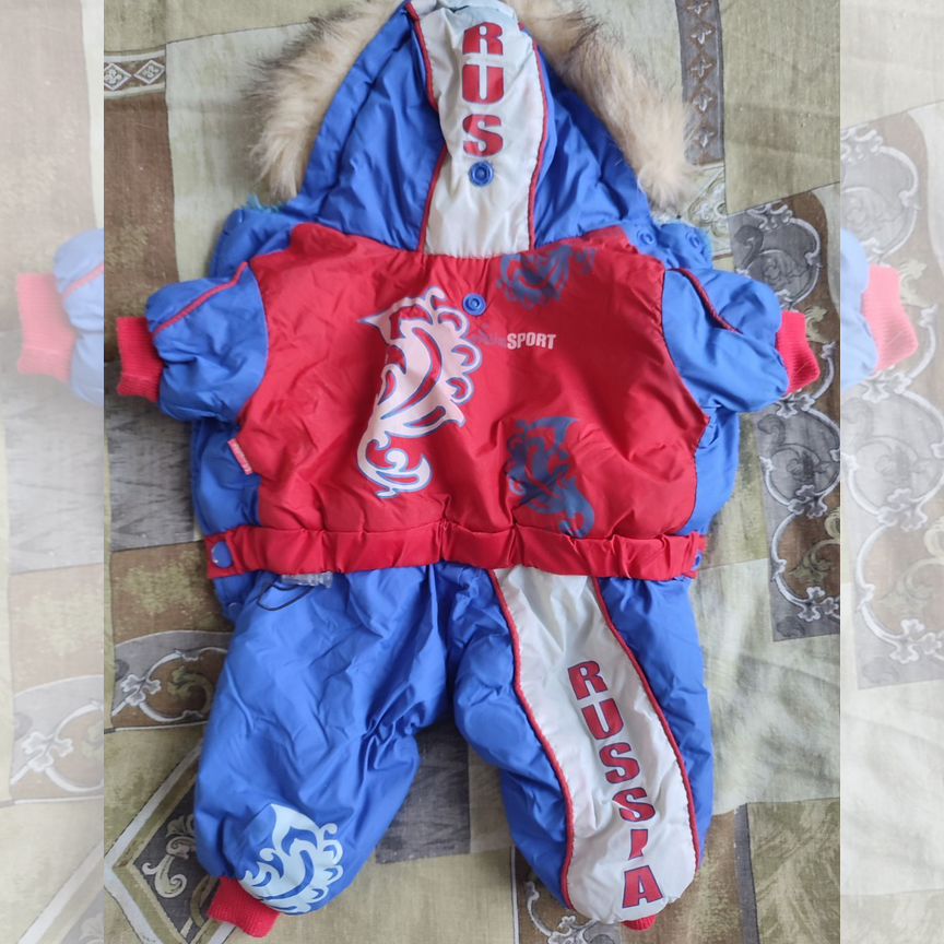 Одежда для маленьких собак