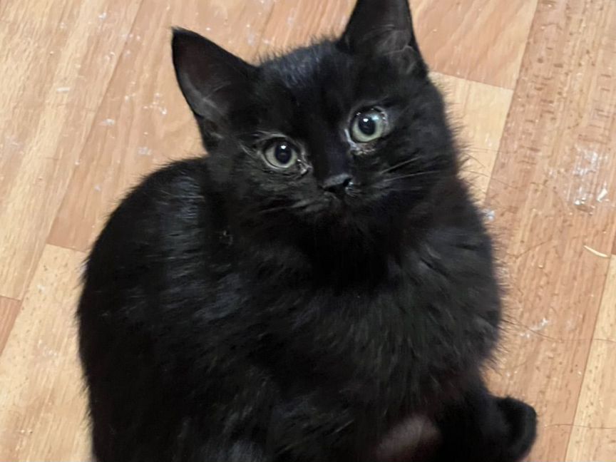 Мальчик в добрые руки