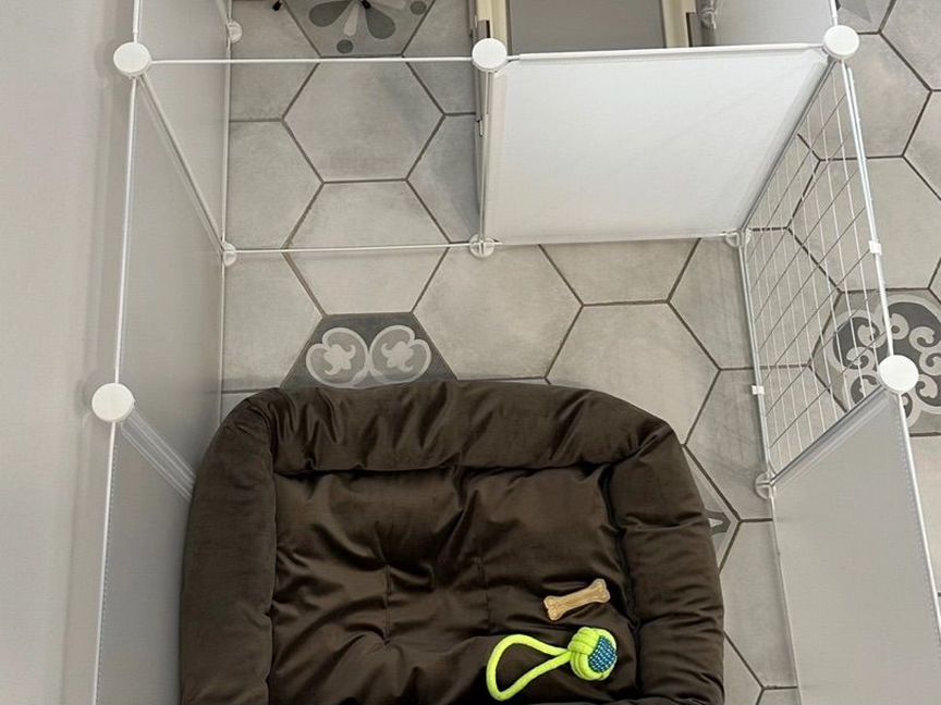 Загон для собак