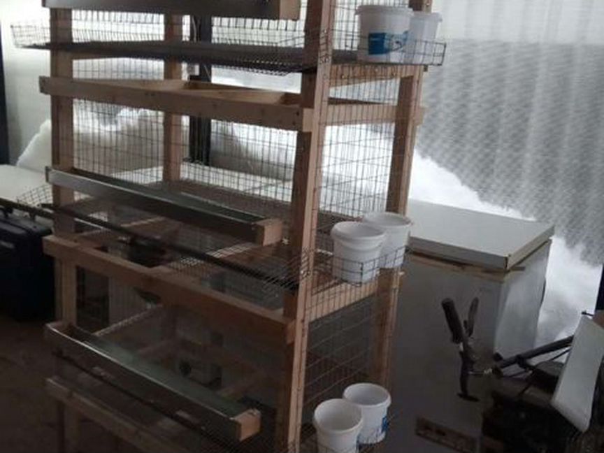 Клетки для кур несушек