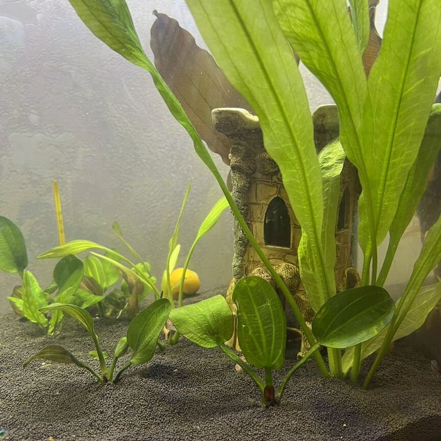 Грунт в аквариум пропант