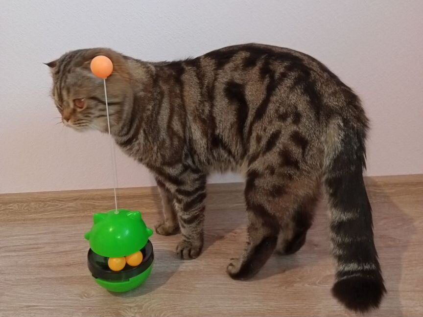 Игрушка неваляшка комрушка