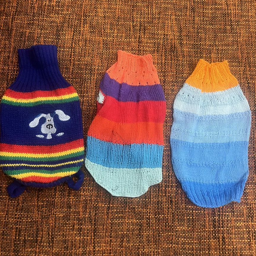 Веши для котенка или маленькой собаки