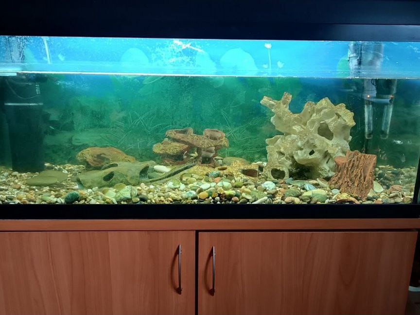 Аквариум 120литров б/у с тумбой или без