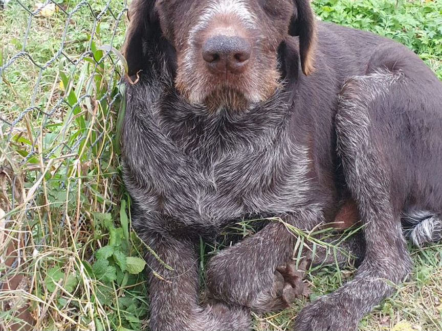 Идеальный Семи в идеальные руки)