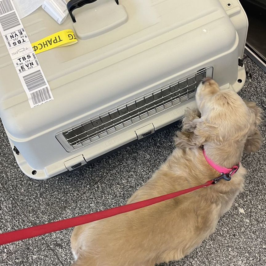 Переноска Tirol Premium (M) 67,5х51х47см