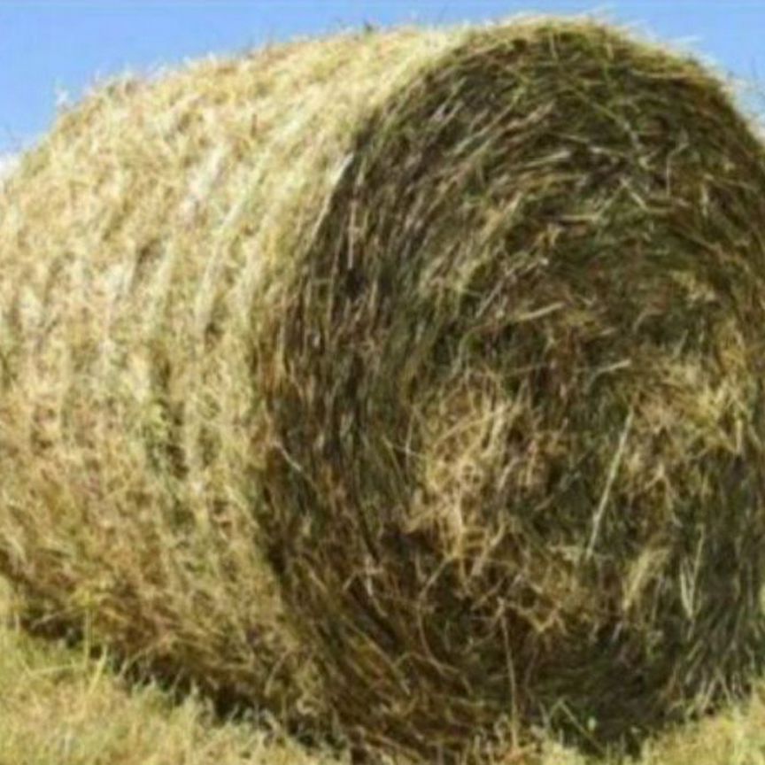 Солома в тюках