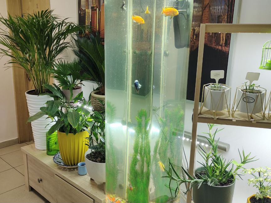 Аквариум 200 литров