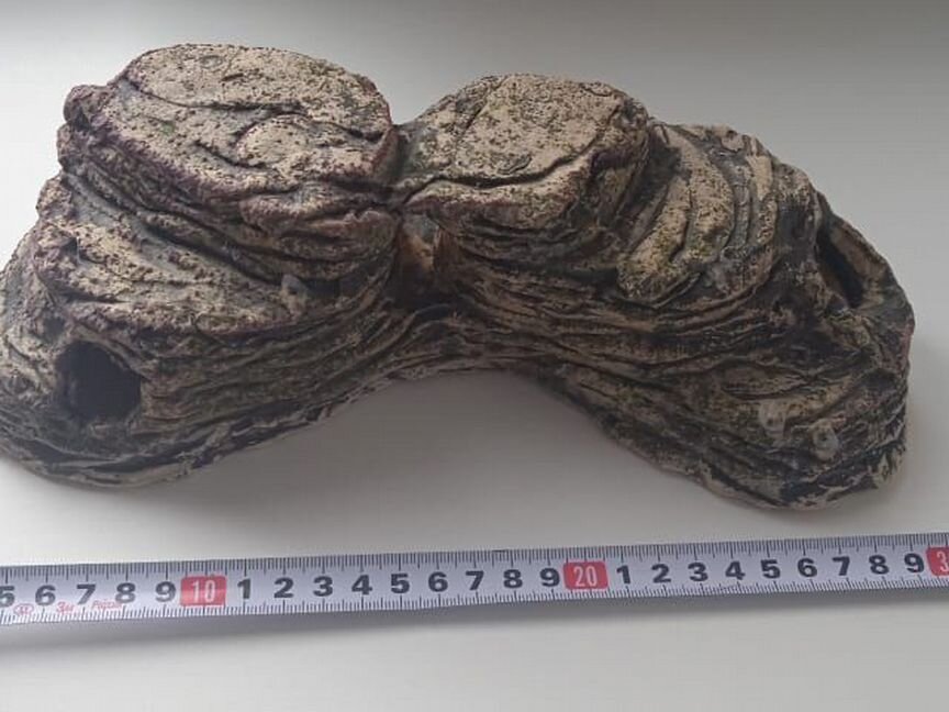 Каряга в аквариум