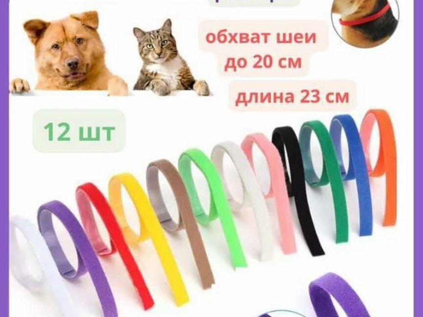 Ошейники идентификационные