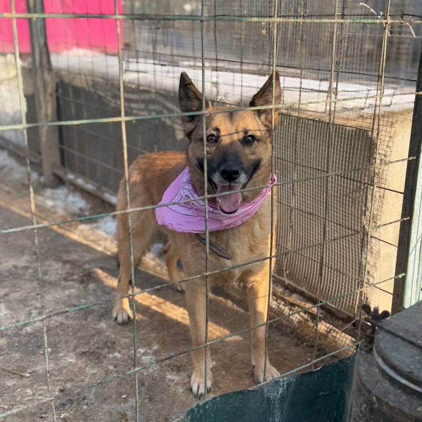 Дружелюбная Ларочка в добрыеруки