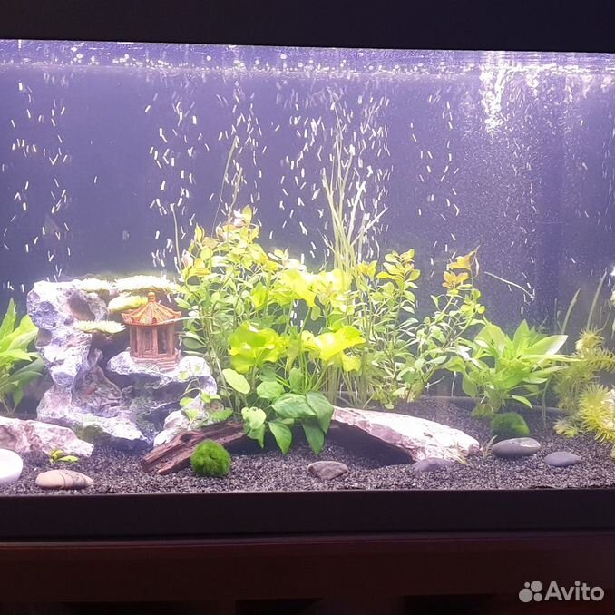 Аквариум 175 литров + оборудование + декор