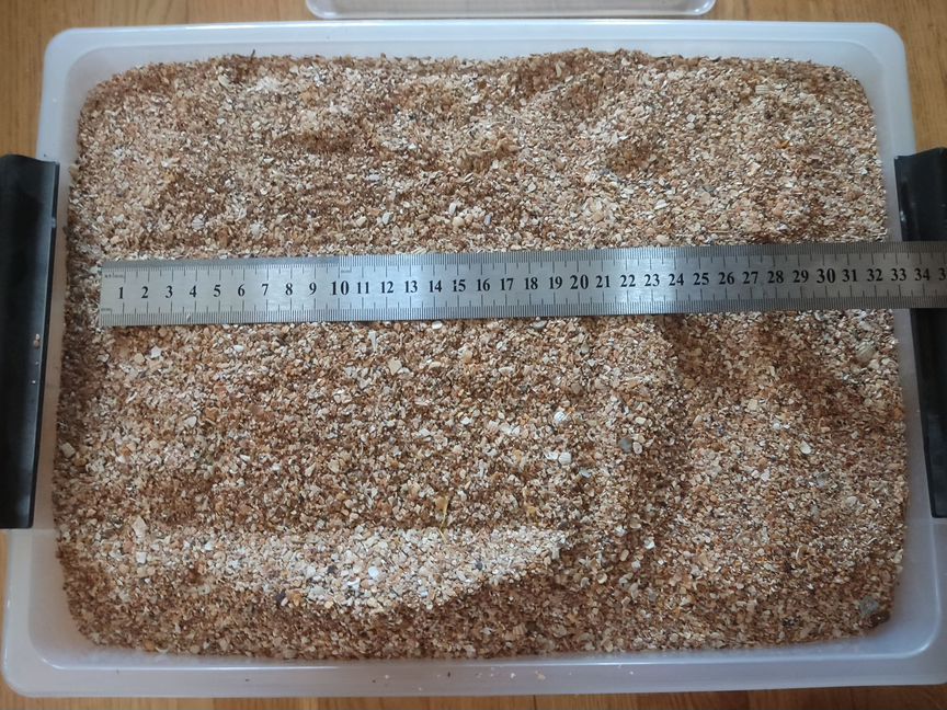 Ракушечник для террариумов 25 кг