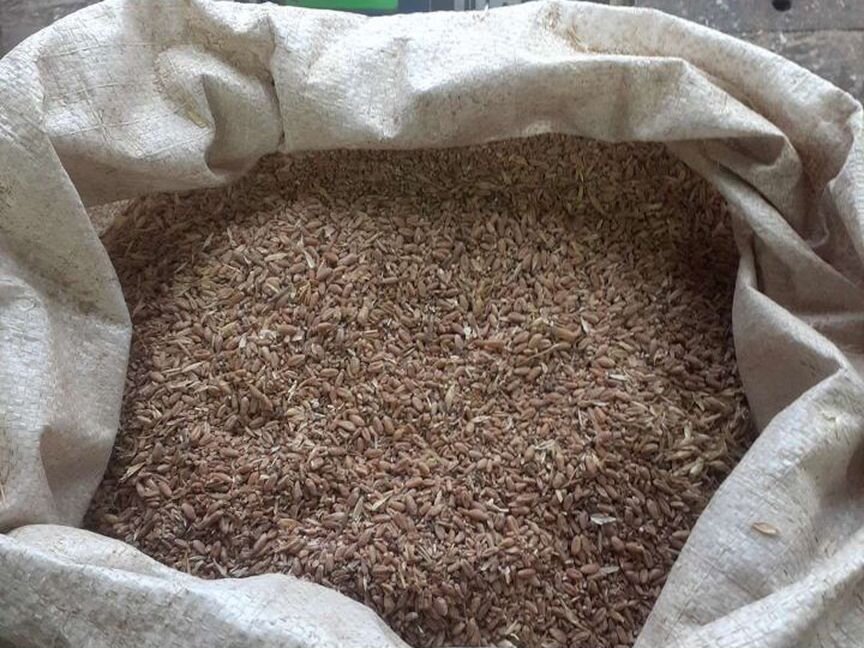 Комбикорм для всех видов животных