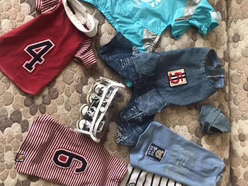 Одежда для собак мелких пород