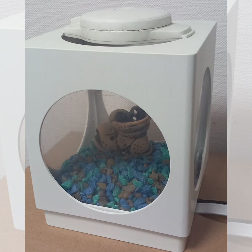 Аквариум для петушка