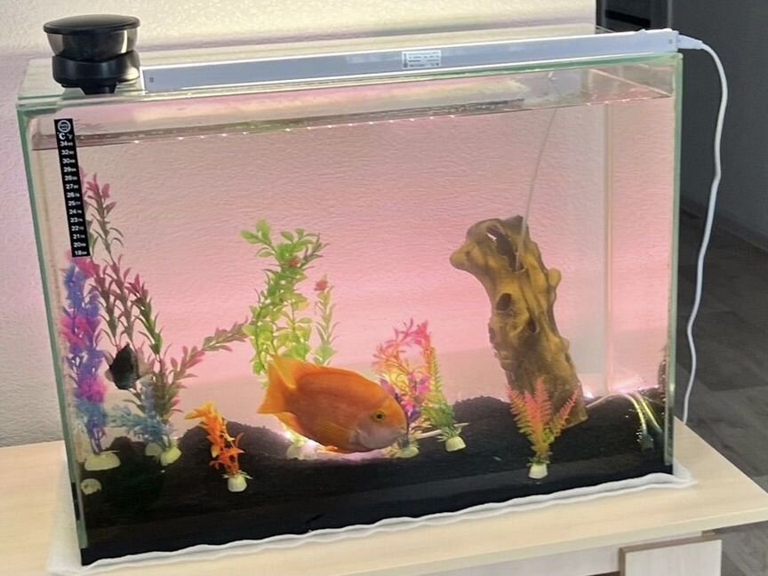 Аквариум террариум 105 л