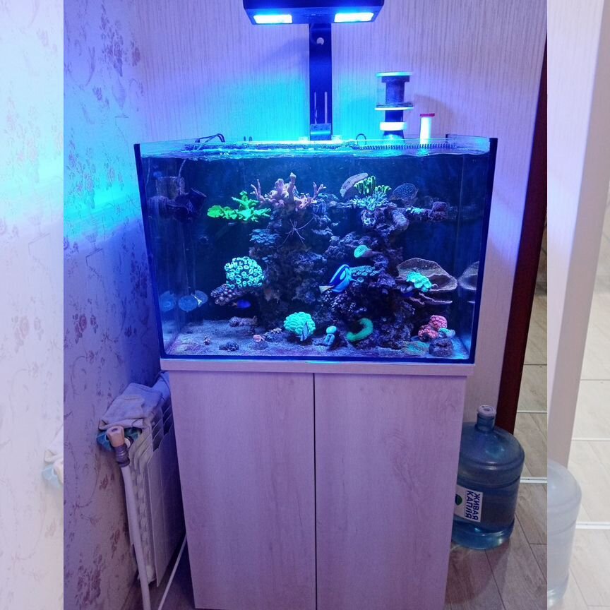 Продам морской аквариум