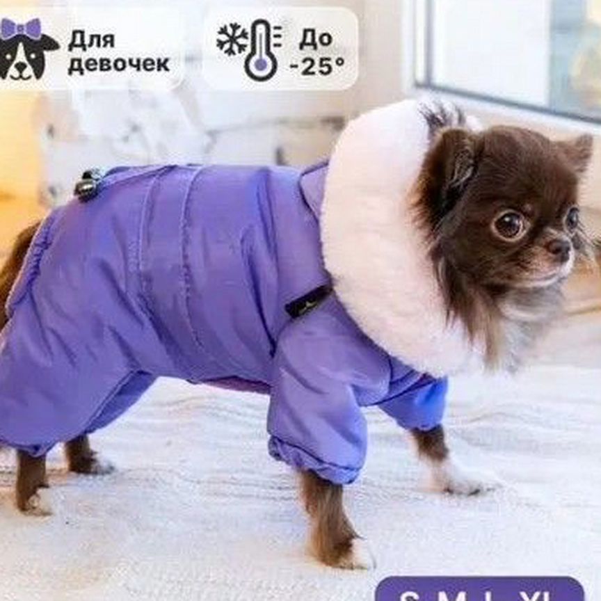 Зимний комбинезон для собаки